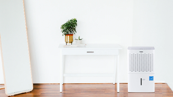 Preparing Your Dehumidifier for Winter Storage – TOSOT Direct